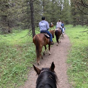 YELLOWSTONE HORSES AT EAGLE RIDGE RANCH - 88 Photos & 34 Reviews - 3438 ...