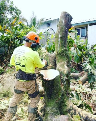 ASHTON’S LANDSCAPE & TREE SERVICE - Updated December 2025 - 43 Photos ...