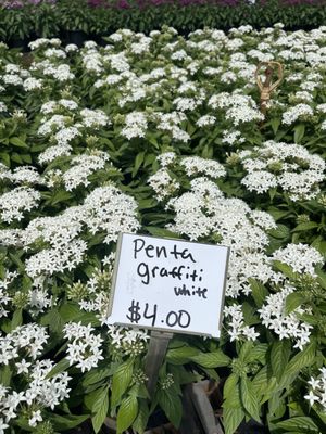 THE BUSHEL STOP - Updated August 2025 - 21 Reviews - 17961 103rd Ter N ...