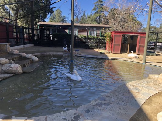 WILLIAM S HART MUSEUM - Updated February 2025 - 297 Photos & 66 Reviews ...