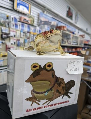 COLONIAL PHOTO & HOBBY - Updated May 2025 - 74 Photos & 158 Reviews ...