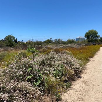 MADRONA MARSH PRESERVE AND NATURE CENTER - Updated December 2025 - 350 ...