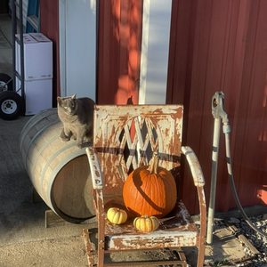 OZAN VINEYARD & WINERY - Updated October 2025 - 132 Photos & 75 Reviews ...