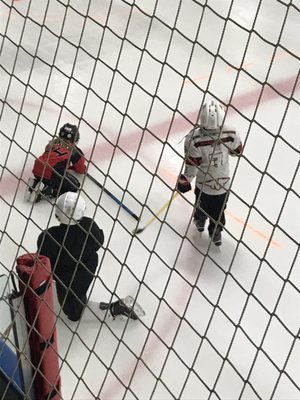 THE RINKS - LAKEWOOD ICE - Updated September 2024 - 85 Photos & 112 ...