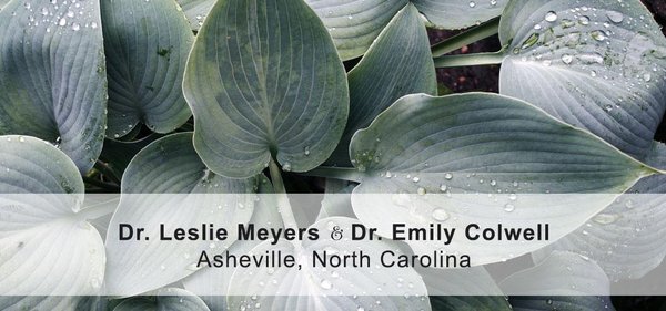 WATERLEAF NATUROPATHIC MEDICINE - Updated December 2025 - 12 Reviews ...