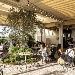 BAR BUCCE - Updated December 2025 - 32 Photos & 18 Reviews - 7220 N ...