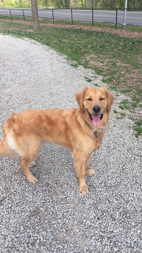 CORBY DOG PARK - Updated August 2025 - Marion St, Saint Joseph ...