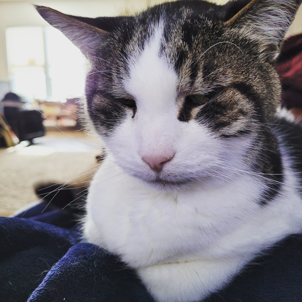 SIOUXLAND ANIMAL HOSPITAL - Updated December 2025 - 10 Reviews - 2030 ...