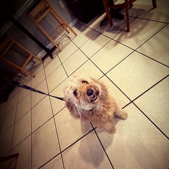 JAVA BOYS - Updated December 2025 - 133 Photos & 153 Reviews - 2230 ...