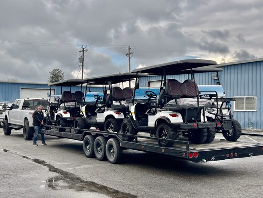 RESORT LIFE CARTS - Updated August 2025 - 43 Photos - 10740 Highway 41 ...