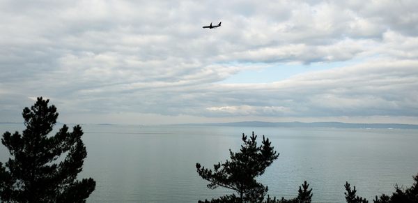 COYOTE POINT RECREATION AREA - 606 Photos & 221 Reviews - Parks - 1701 ...