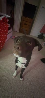 MANSFIELD MOVIEPLEX 8 - Updated December 2025 - 15 Reviews - 95 Storrs ...