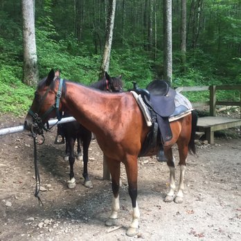 SMOKEMONT RIDING STABLES - Updated October 2025 - 36 Photos & 37 ...