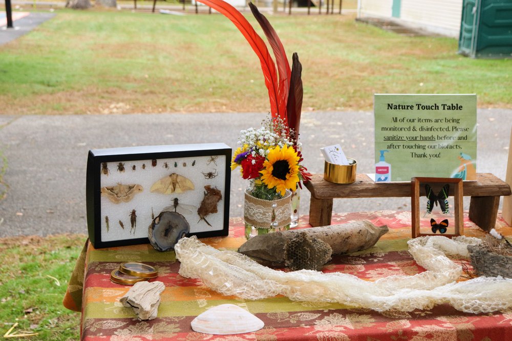 LOKAI ROSE - Updated August 2024 - Ringwood, New Jersey - Summer Camps ...