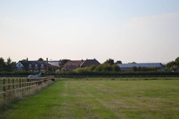 UPPER FARM FISHERY - Updated December 2024 - Upper Farm Henton, Chinnor ...