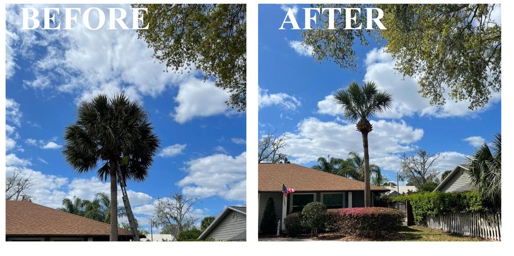 AMAZING GRACE LANDSCAPING - Updated September 2024 - 70 Photos ...