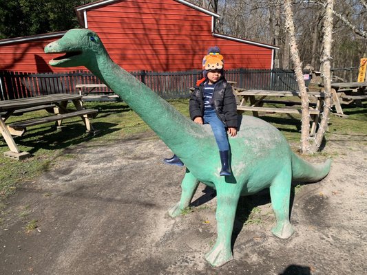 BEE CITY ZOO - 319 Photos & 83 Reviews - 1066 Holly Ridge Ln ...