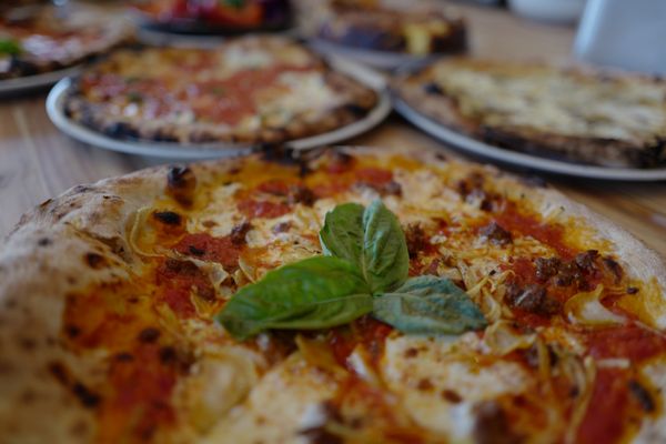 PIZZA TO THE RESCUE - Updated April 2024 - 37 Photos - 2601 E Indian ...