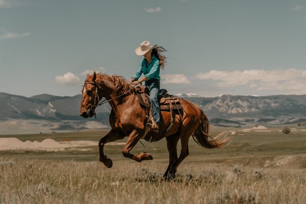 THE CORRAL AT THE TA RANCH - 52 Photos - 28623 Old Hwy 87, Buffalo ...