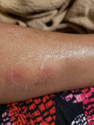 HYATT PLACE SUMTER / DOWNTOWN - 59 Photos & 21 Reviews - 18 N Main St ...