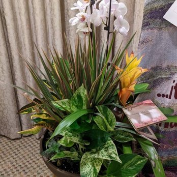 OBERER’S FLOWERS - Updated August 2025 - 60 Photos & 99 Reviews - 1448 ...