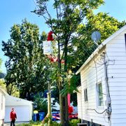 SMITTY’S TREE SERVICE - 71 Photos & 45 Reviews - 12736 S Ridgeway Ave ...