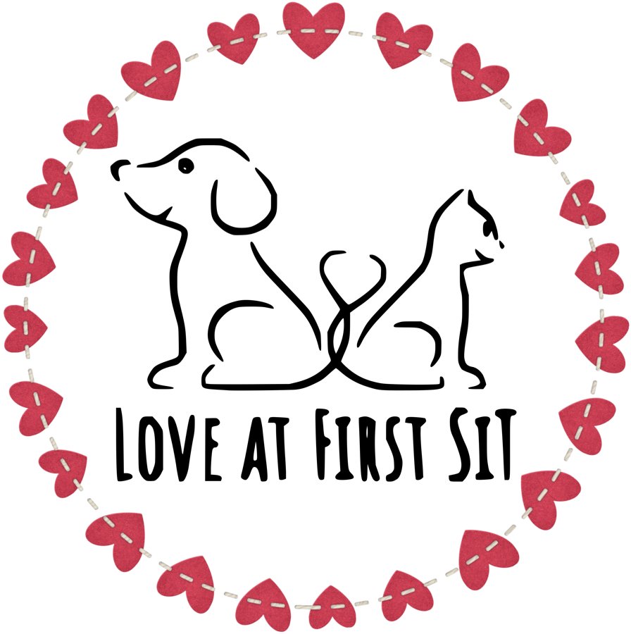 LOVE AT FIRST SIT - Updated July 2025 - Heriot Place, Edinburgh, United ...