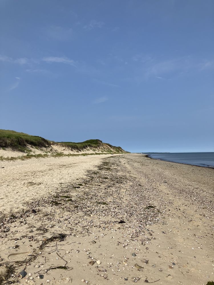 DIONIS BEACH - Updated June 2024 - 16 Photos - Eel Point Rd, Nantucket ...