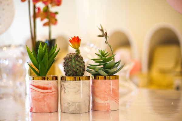 PACFE NAILS & SPA - Updated January 2025 - 354 Photos & 147 Reviews ...