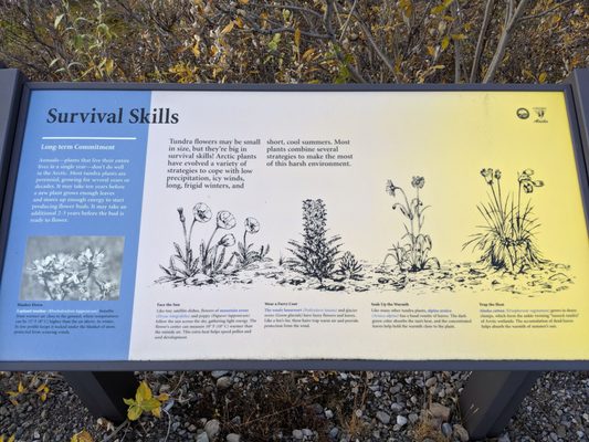 Campgrounds - GALBRAITH LAKE CAMPGROUND - 13 Photos - AK, Alaska - Yelp