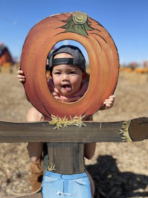 SEASONAL ADVENTURES PUMPKIN PATCH & TREES - Updated September 2025 - 34 ...