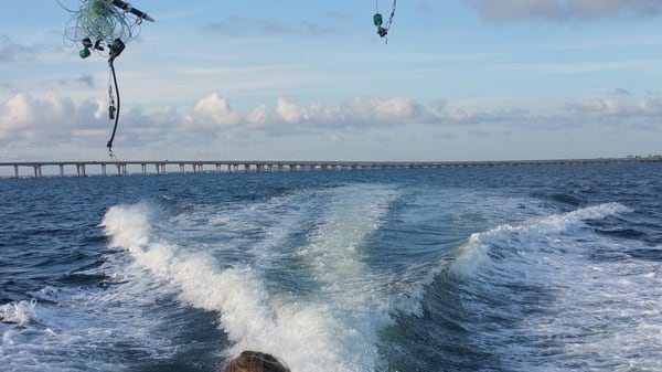 GANDY BRIDGE - Updated December 2025 - 27 Photos & 16 Reviews - Tampa ...