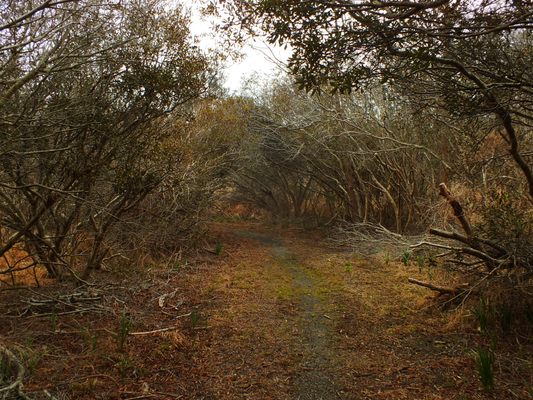 DAMERON MARSH NATURAL AREA PRESERVE - 12 Photos - Guarding Point Lane ...