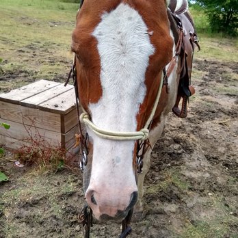 BROKEN BOW RANCH - Updated October 2025 - 45 Photos - 63 Reviews - 1755 ...