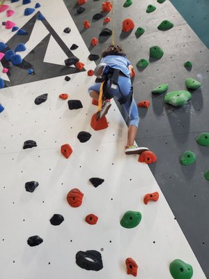 ALPINE CLIMBING ADVENTURE FITNESS - 125 Photos & 56 Reviews - 1450 ...