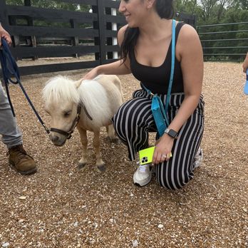 R&R RANCH MINIATURE HORSE SANCTUARY - Updated December 2025 - 12 Photos ...