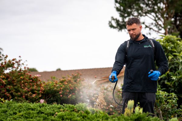 VITAL SIGNS TERMITE AND PEST CONTROL - Updated October 2025 - 101 ...