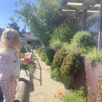 HOOK FISH AT PROOF LAB BEER GARDEN - Updated April 2025 - 835 Photos ...