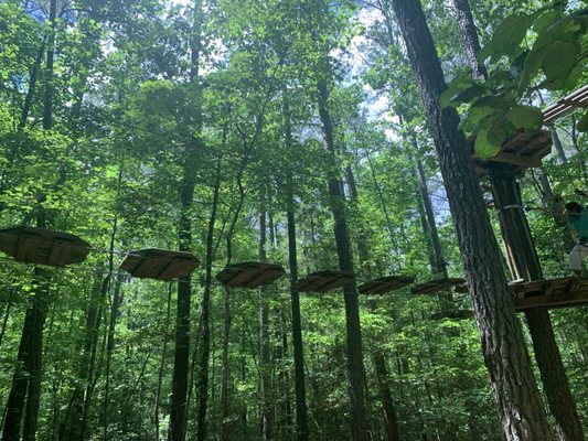 GO APE ZIPLINE & ADVENTURE PARK - Updated December 2025 - 127 Photos ...