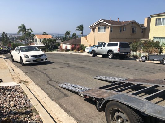 AMERIFREIGHT CAR SHIPPING - Updated August 2025 - 55 Photos & 344 ...