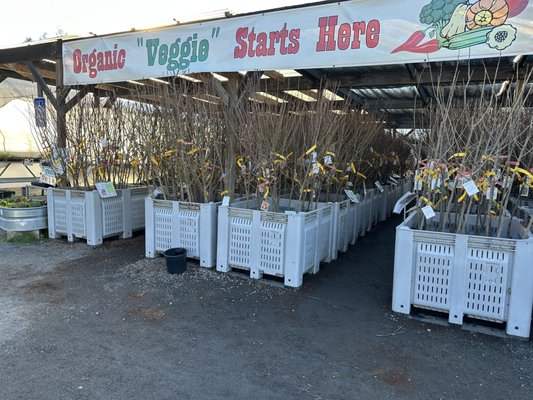 HARMONY FARM SUPPLY & NURSERY - Updated August 2025 - 56 Photos & 100 Reviews - 3244 Gravenstein ...