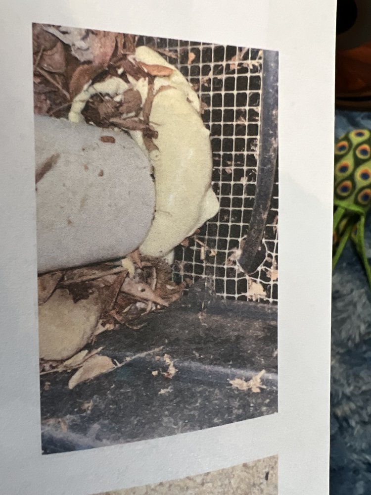 PACIFIC NW PEST CONTROL - Updated October 2025 - 20 Photos & 17 Reviews ...