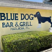 BLUE DOG BAR & GRILL - 462 Photos & 532 Reviews - 4597 Pine Island Rd ...