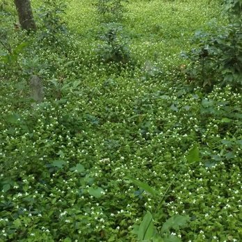 BIVENS ARM NATURE - Updated December 2025 - 44 Photos - 3650 S Main St ...