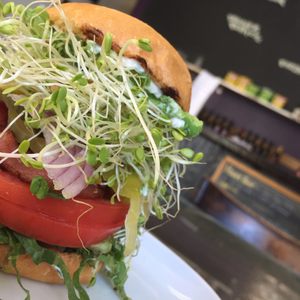 MONTCLAIR SWIM CLUB - Updated December 2025 - 36 Reviews - 1901 ...