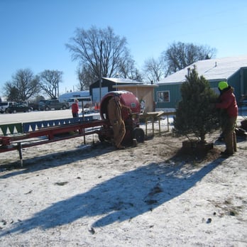 WILLIAMS TREE FARM - Updated October 2025 - 66 Photos & 26 Reviews ...