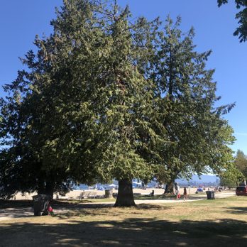 LOCARNO BEACH - Updated October 2025 - 42 Photos - NW Marine Drive ...