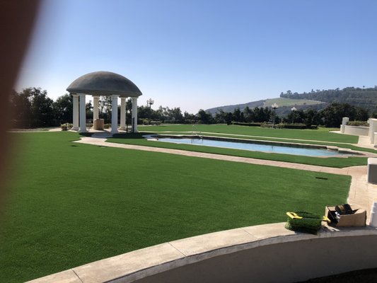 Gallion Grass Updated May 2024 37 Photos 1833 Portola Rd Ventura California Artificial