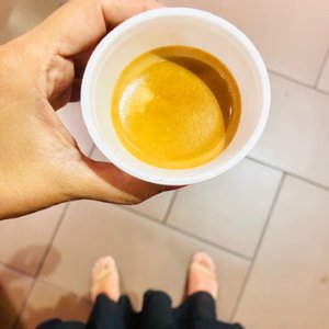 FORTINOS - Updated December 2025 - 20 Photos & 13 Reviews - 1579 Main ...