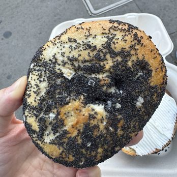 LAYLA BAGELS AND COFFEE - Updated May 2024 - 680 Photos & 395 Reviews ...